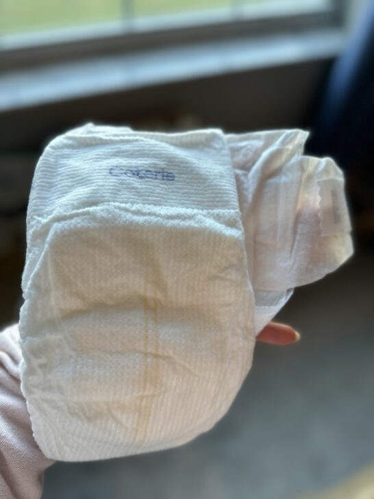 Pull-Ups vs Diapers: Differences + When to Switch - The Baby Bump Diaries