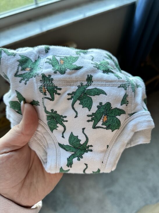 Pull-Ups vs Diapers: Differences + When to Switch - The Baby Bump Diaries